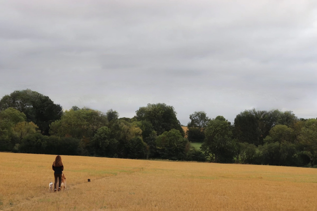Canine Country Club Cotswolds – Dog Daycare in the Cotswolds